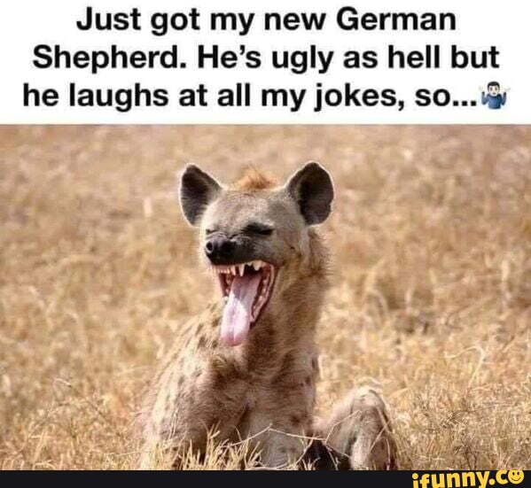 Spotted_hyena memes. Best Collection of funny Spotted_hyena pictures on ...