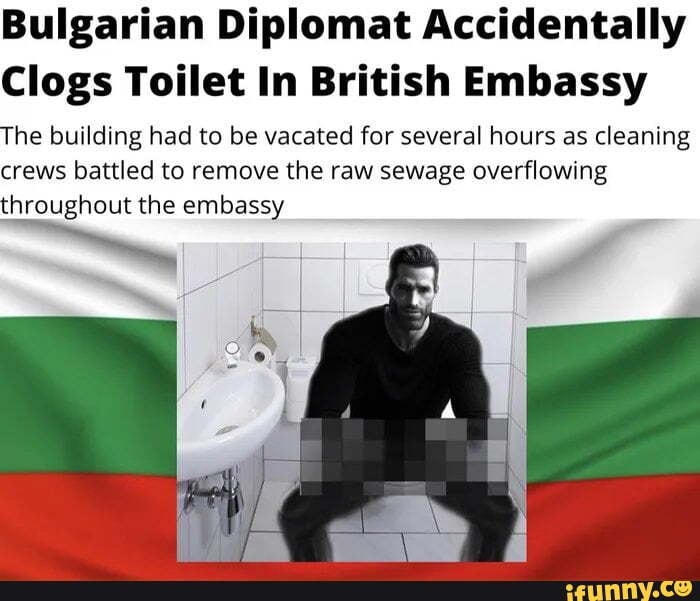 Bulgarian Diplomat Accidentally Clogs Toilet In British Embassy The ...