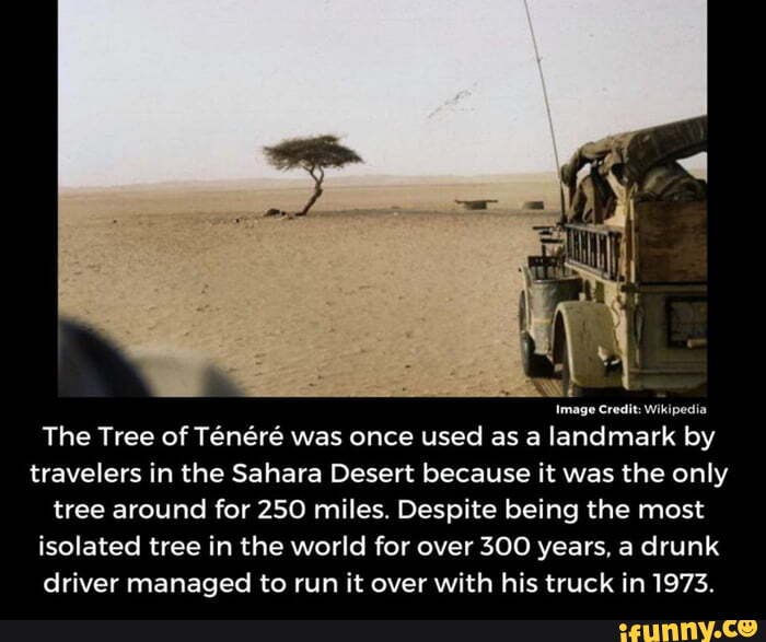 Image Credit: Wikipedia The Tree of Ténéré was once used as a landmark ...