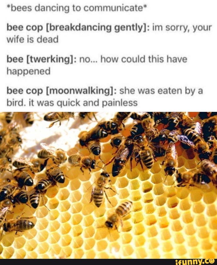 Western_honey_bee memes. Best Collection of funny Western_honey_bee ...
