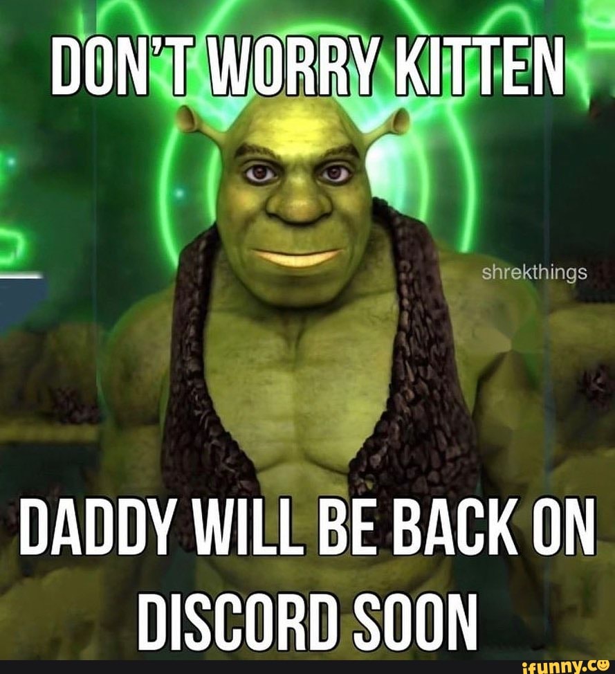 DON'T WORRY KITTEN DADDY WILL BE BACK ON DISCORD SOON - iFunny