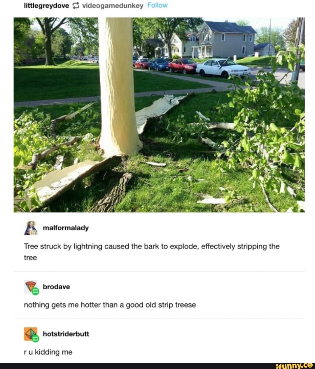 Imiegreydove CJ videogamedunkey i & mallormalady Tree struck by ...