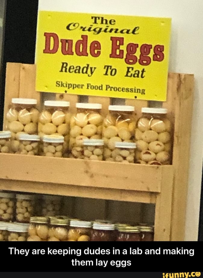 The "ginal Dude Eggs Ready To Fat Skipper Food Processing They are ...