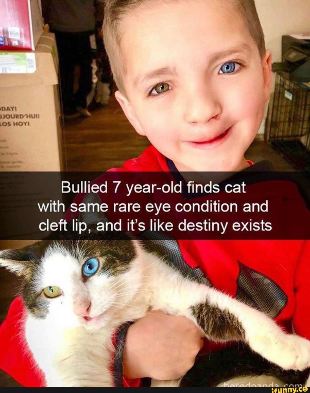 Cleft memes. Best Collection of funny Cleft pictures on iFunny