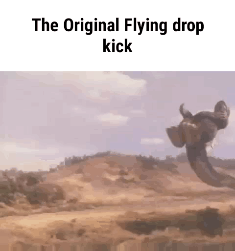 The Original Flying drop kick - The Original Flying drop kick - iFunny