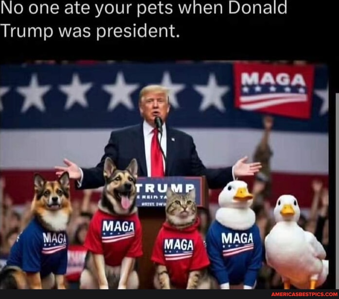 Animals memes memes. The best memes on America’s best pics and videos