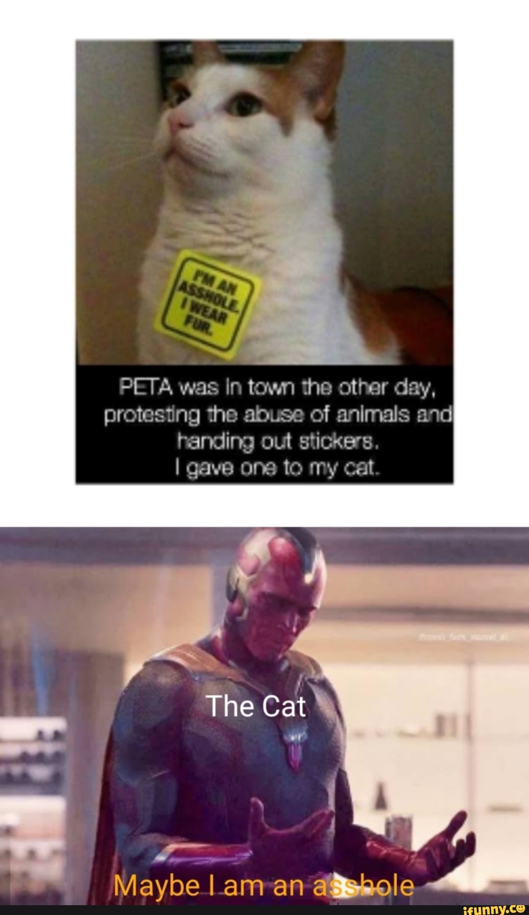 PETA was In town the other day, protesting the abuse of animals and ...