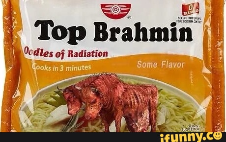 Brahmin memes. Best Collection of funny Brahmin pictures on iFunny