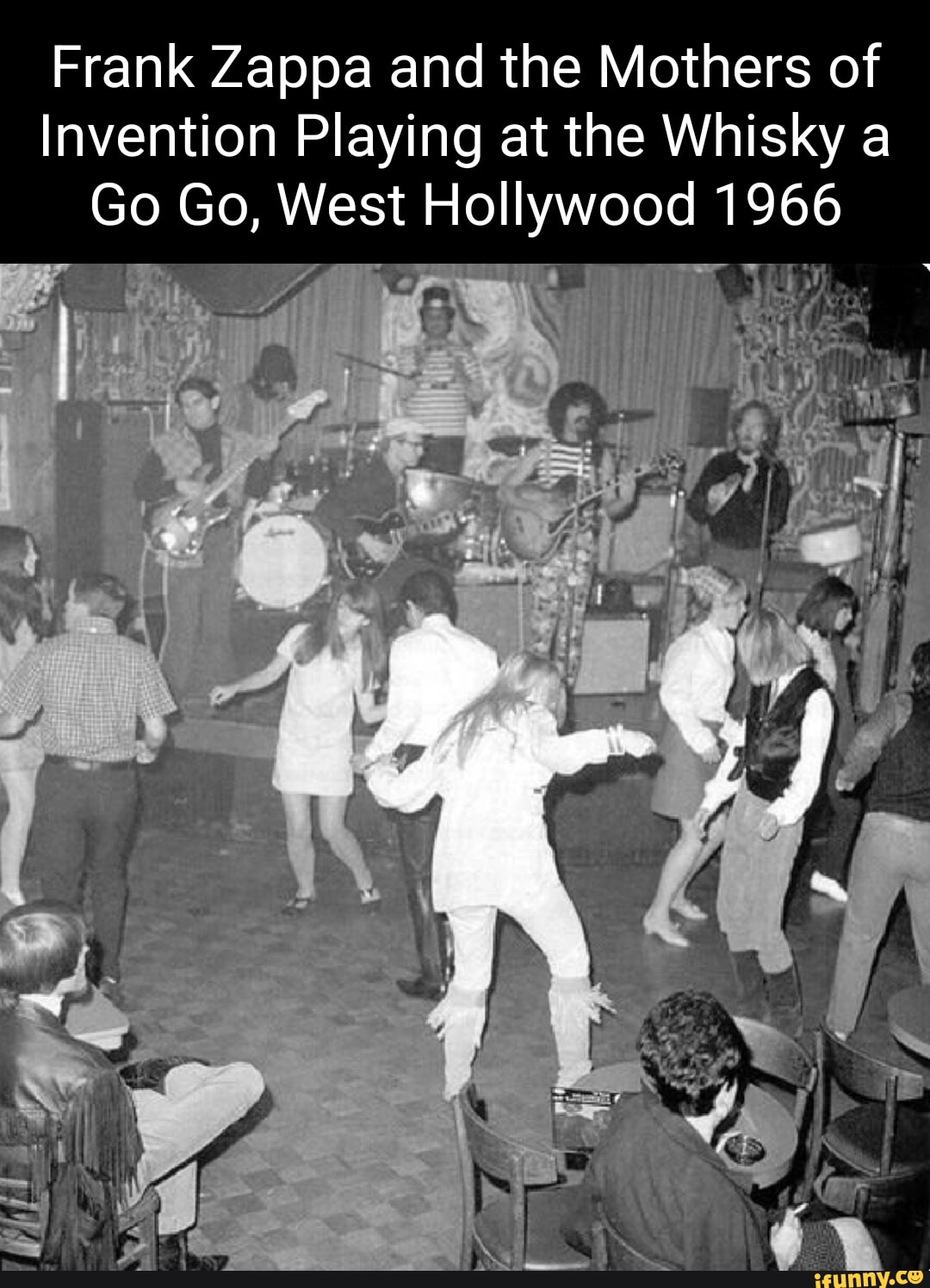 Zappa memes. Best Collection of funny Zappa pictures on iFunny