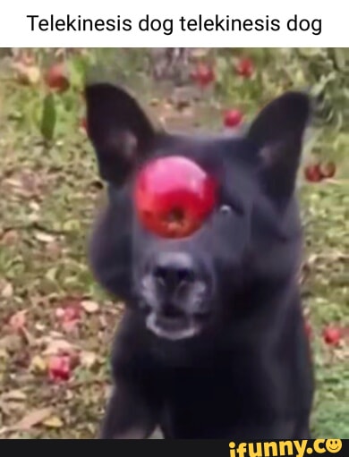 Telekinesis memes. Best Collection of funny Telekinesis pictures on iFunny