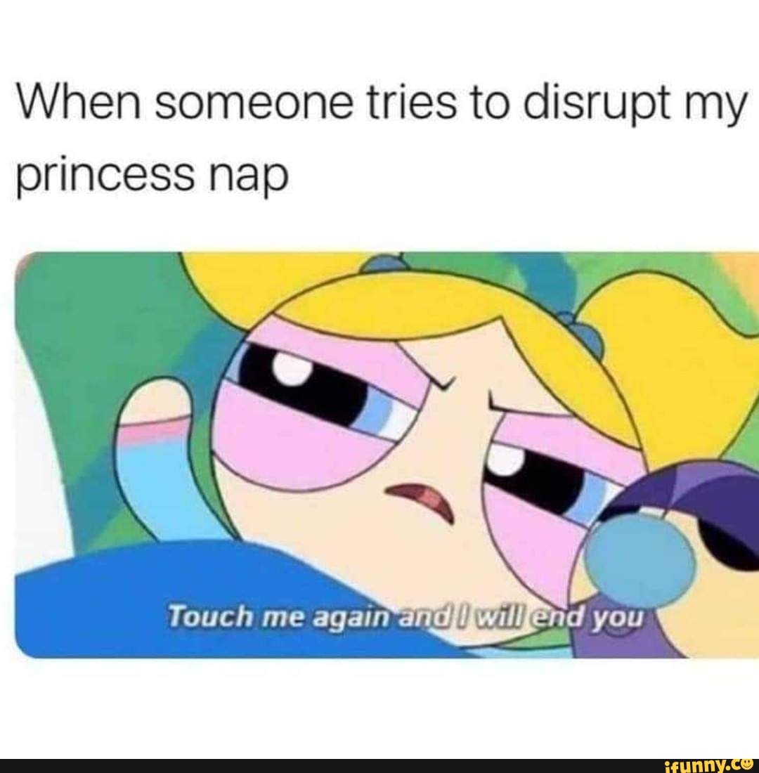 When someone tries to disrupt my princess nap Youch me will you - iFunny