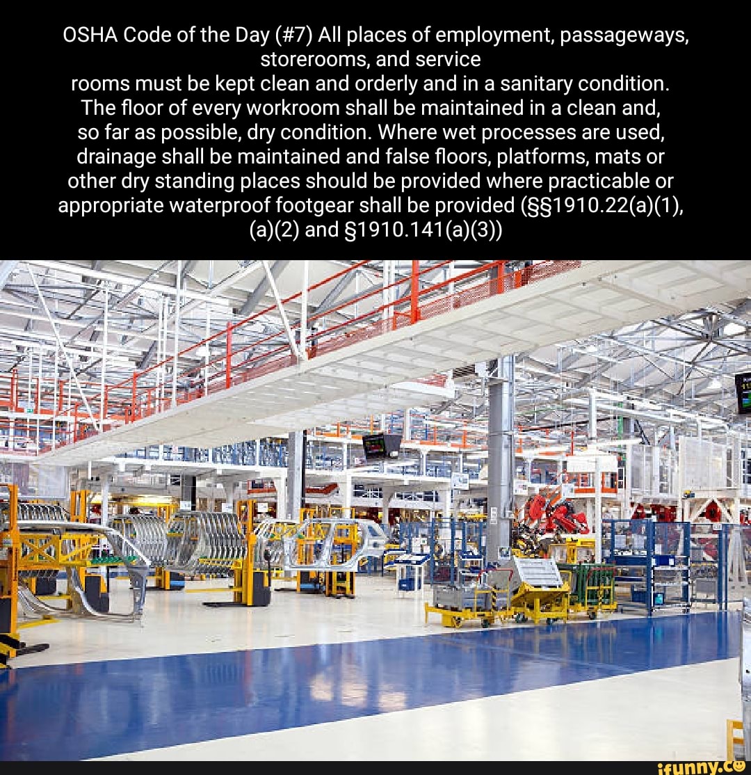 Storerooms memes. Best Collection of funny Storerooms pictures on iFunny