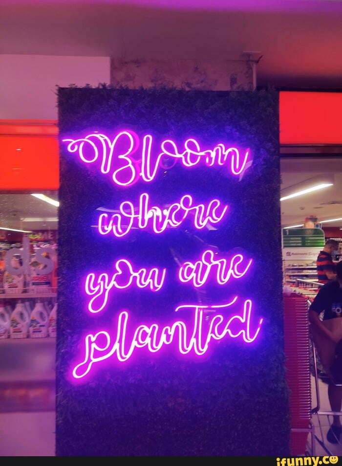 Neon_sign memes. Best Collection of funny Neon_sign pictures on iFunny