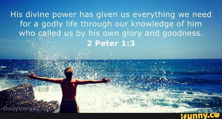 His divine power has given us everything we need for a godly life ...