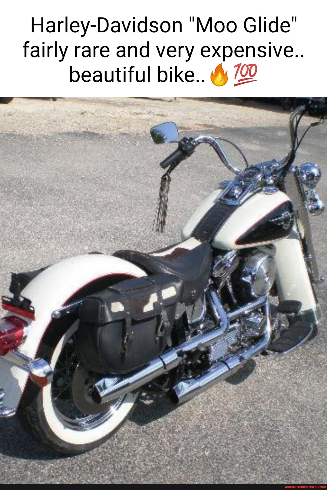 Harley-Davidson "Moo Glide" fairly rare and very expensive.. beautiful ...
