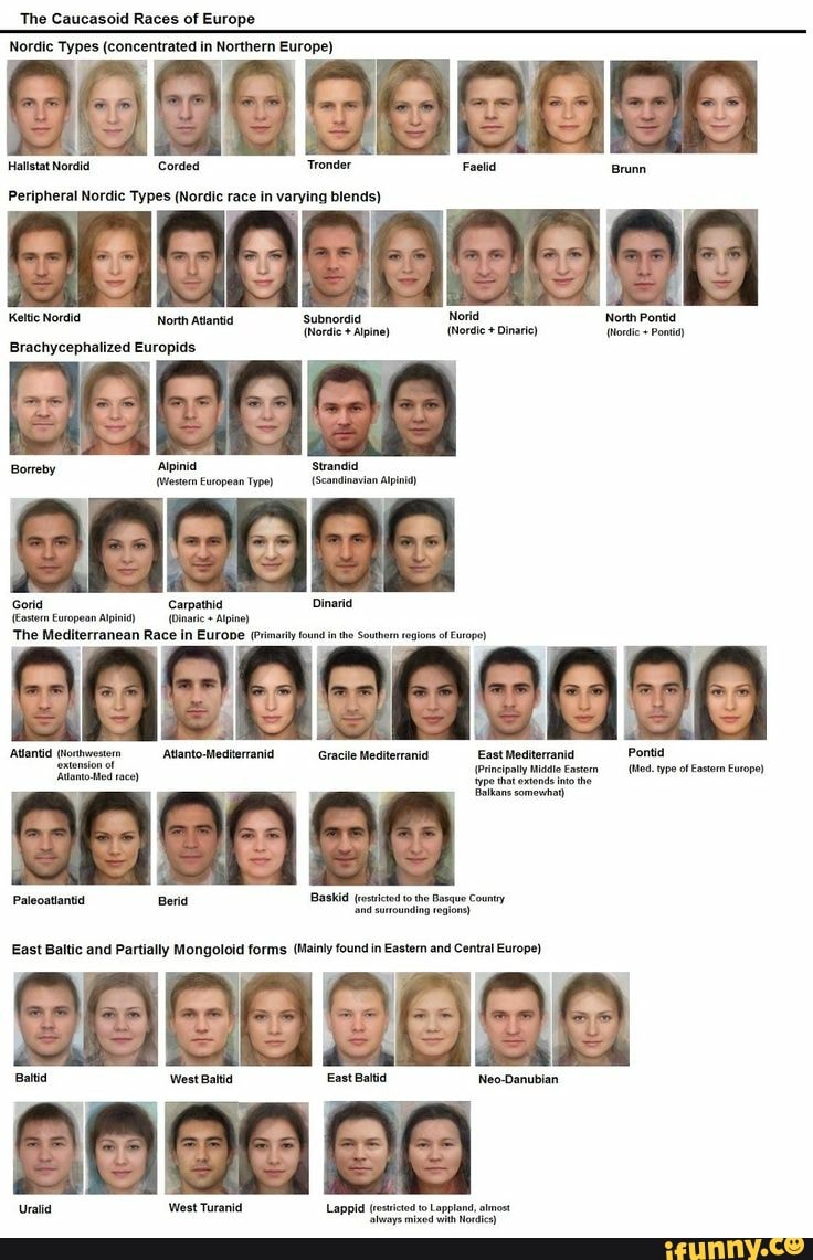 Subnordid memes. Best Collection of funny Subnordid pictures on iFunny