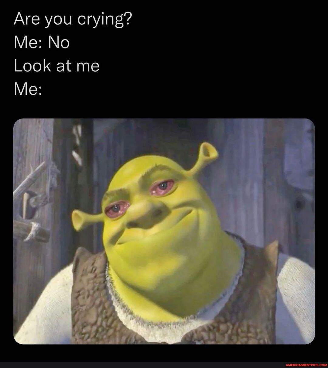 Im fine 😭 Follow @wholesomebeeches for everyday memes! . . #memes #meme ...