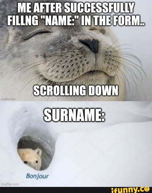 ME AFTER SUCCESSFULLY FILLNG "NAME:" IN THE FORM.. SCROLLING DOWN ...