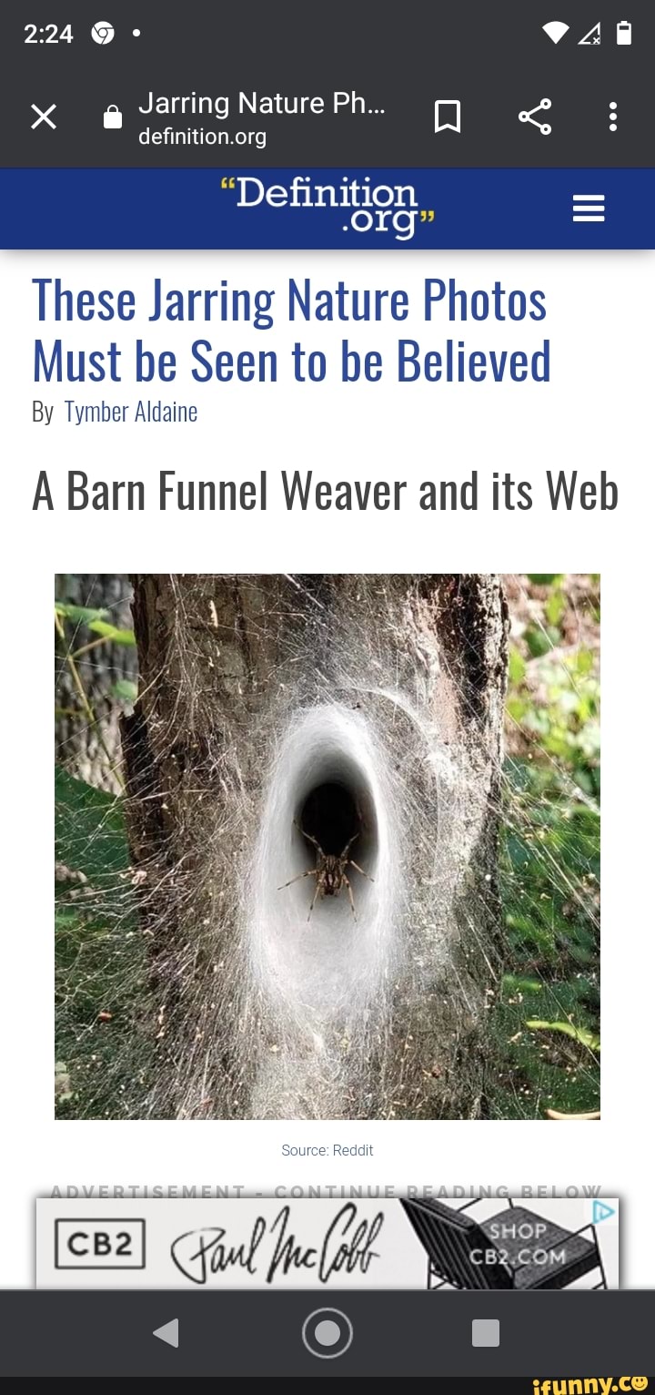 Jarring Nature Ph... Q Tali "Definition .Org" These Jarring Nature ...