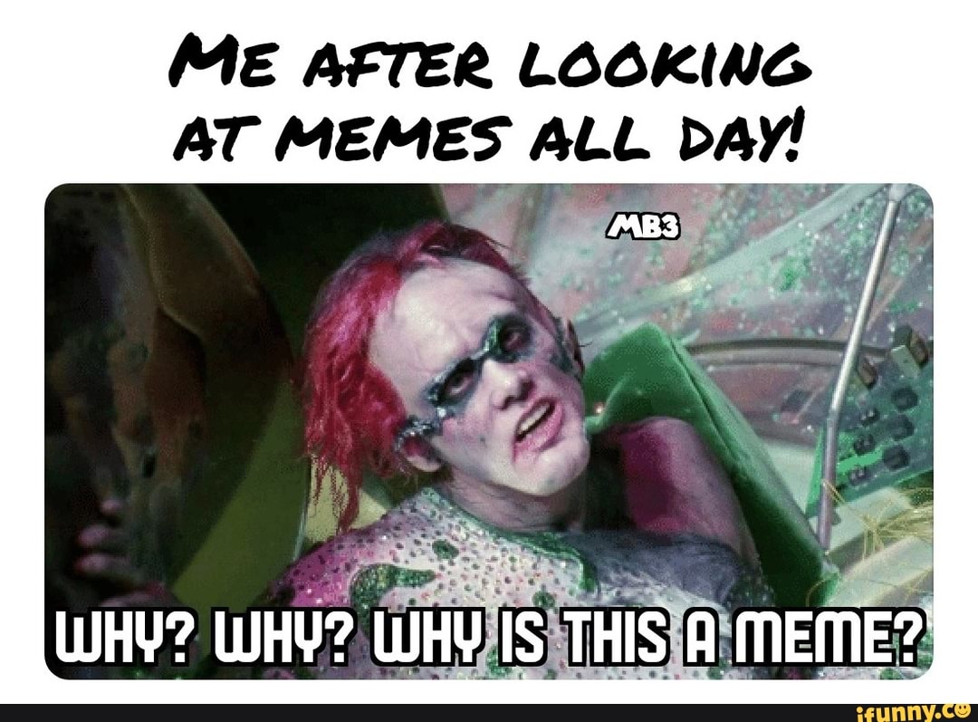 ME AFTER LOOKING AT MEMES ALL bay! WHY? WHY? WHY IS THIS A MEME?: - iFunny