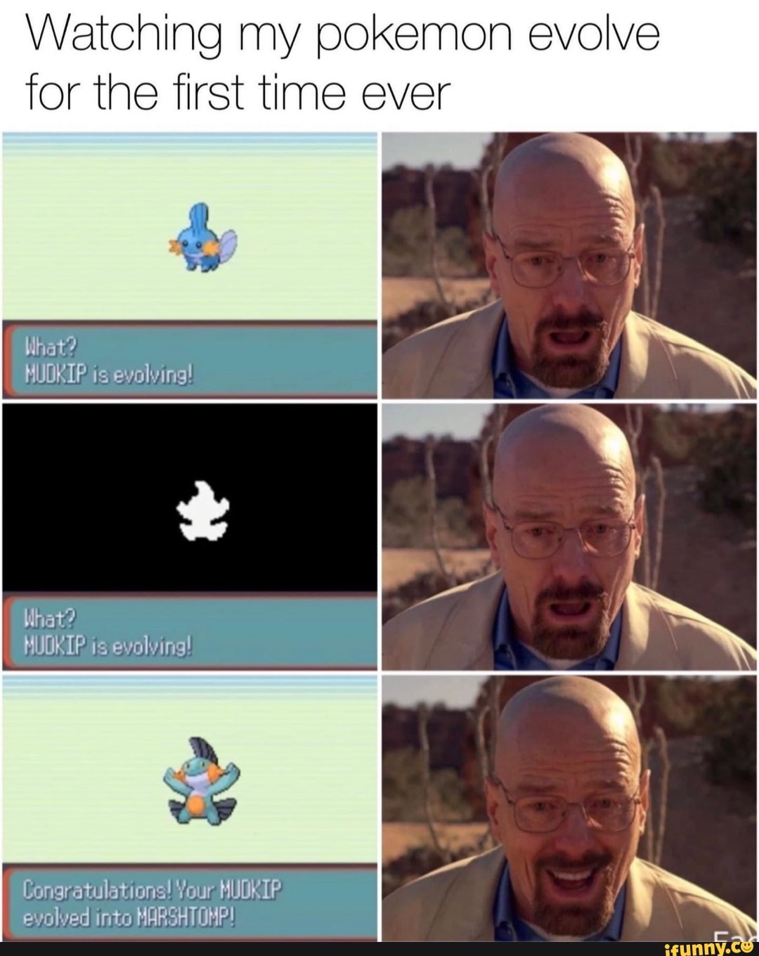 Watching my pokemon evolve for the first time ever What? HUDKIP is ...