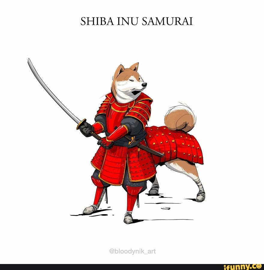 SHIBA INU SAMURAI - iFunny