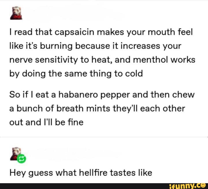 Capsaicin memes. Best Collection of funny Capsaicin pictures on iFunny