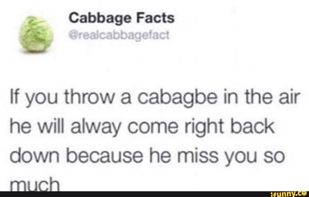 É Cabbage Facts If you throw a cabagbe in the air he will alway come ...