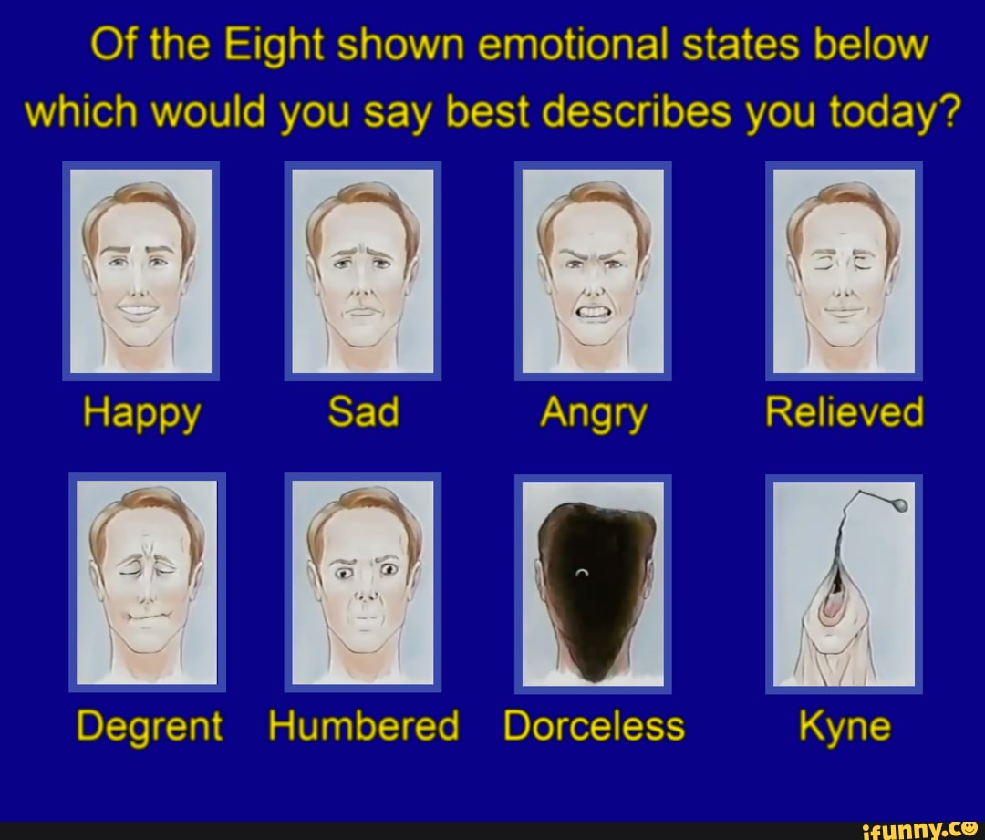 Of the Eight shown emotional states below which would you say best ...