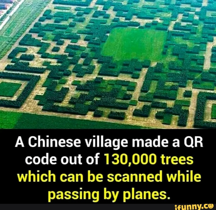 A Chinese village made a QR code out of 130,000 trees which can be ...