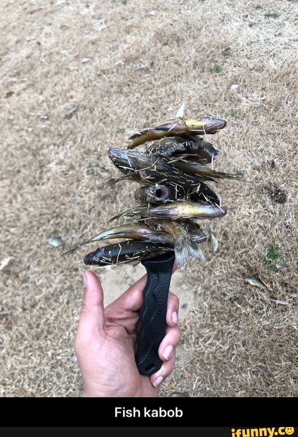 Kabob memes. Best Collection of funny Kabob pictures on iFunny