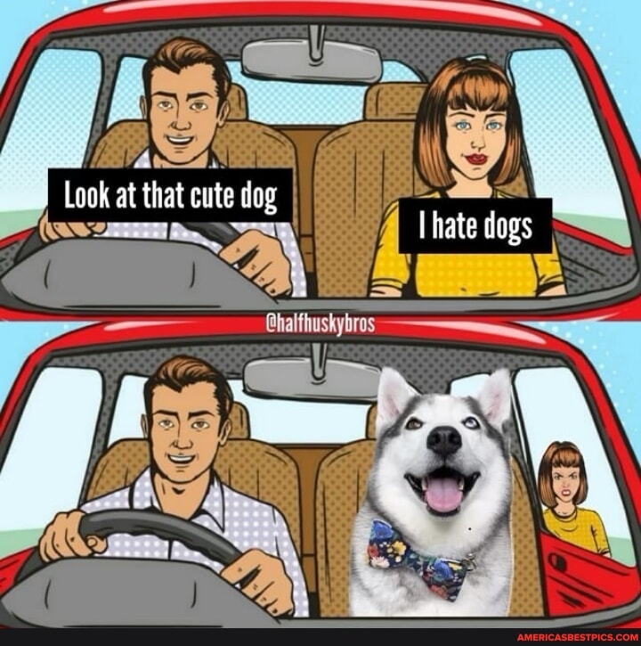 SS Look at that cute dog hate dogs - America’s best pics and videos