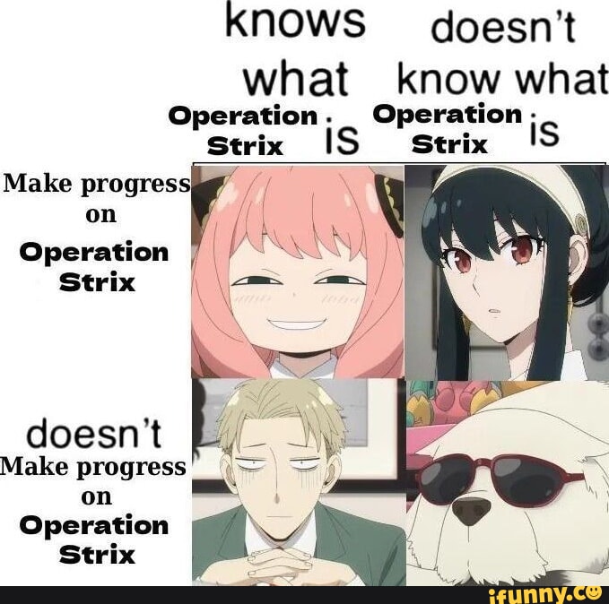 KNOWS doesn't what know what Operation. Operation Strix IS strix IS ...