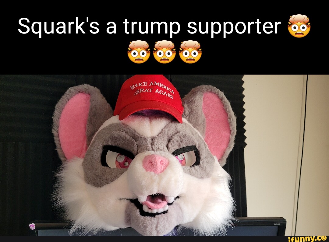 Fursuit memes. Best Collection of funny Fursuit pictures on iFunny