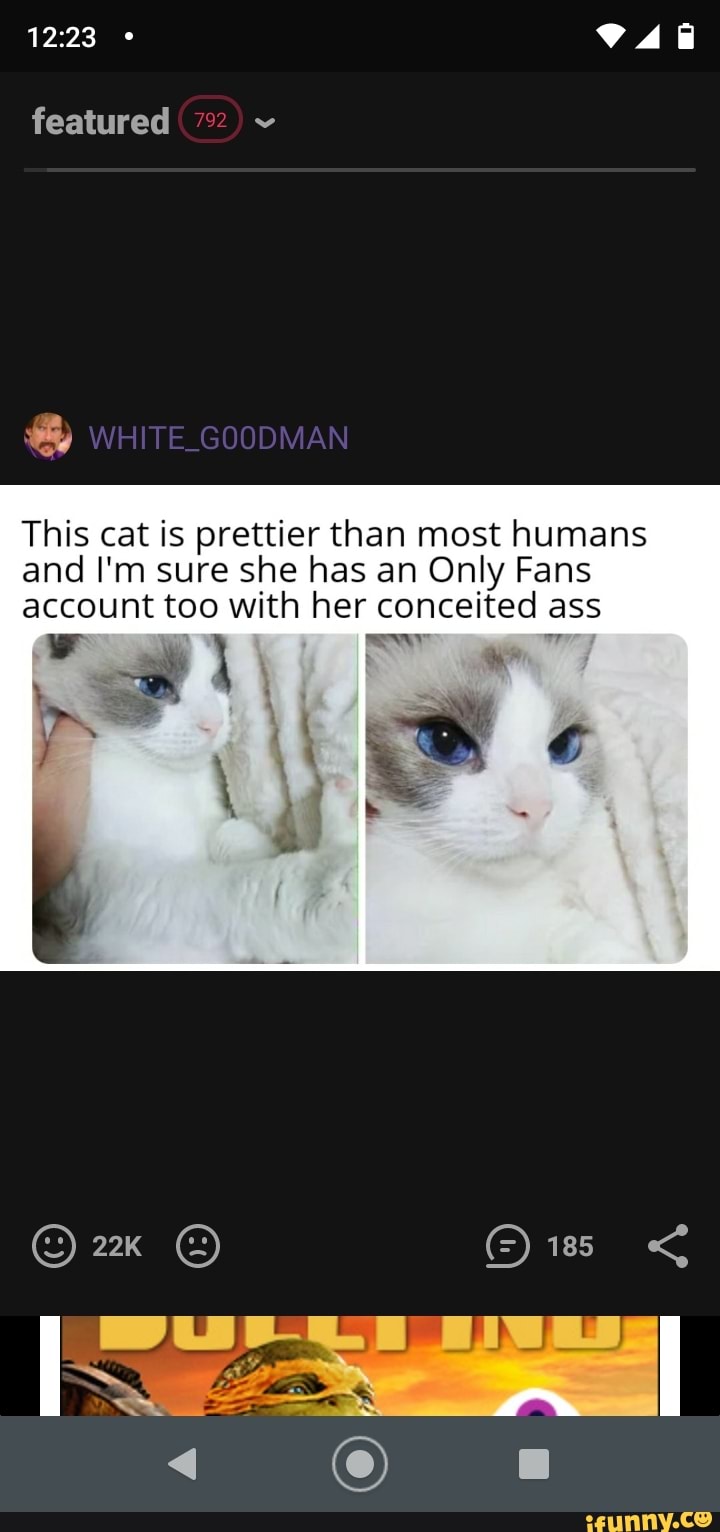 Featured WHITE_GOODMAN This cat is prettier than most humans and I'm ...