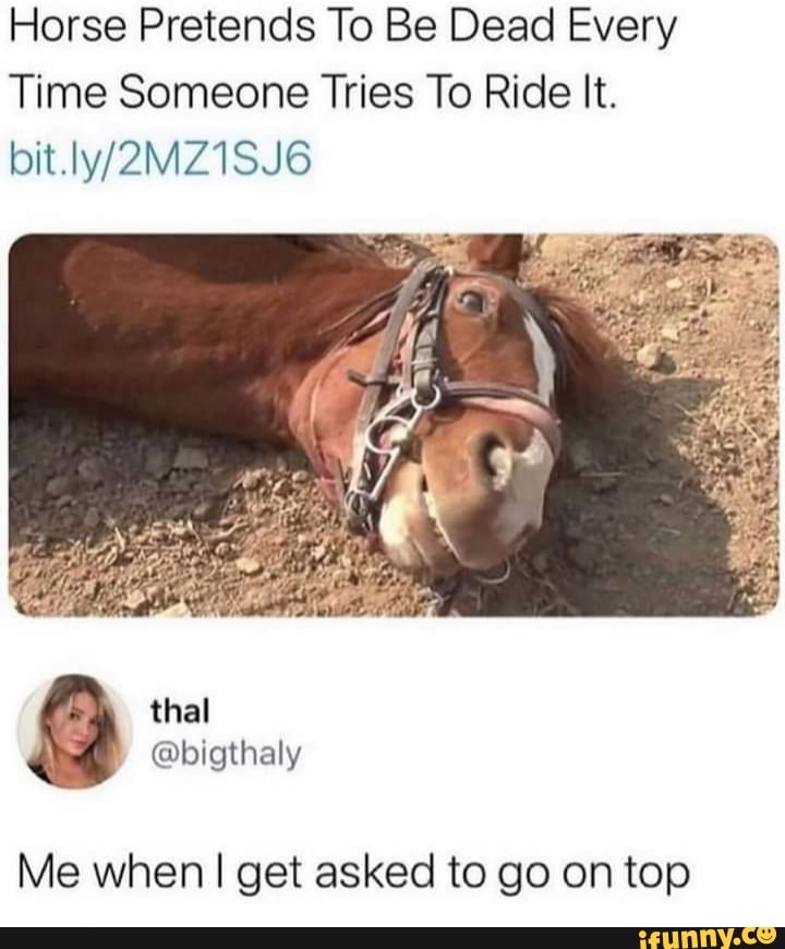 Horse Pretends To Be Dead Every Time Someone Tries To Ride It. bit ...