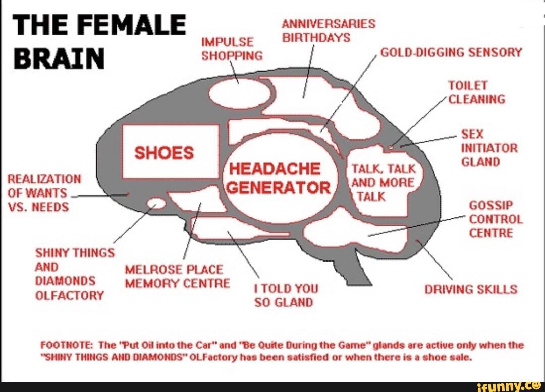 THE FEMALE ANNIVERSARIES IMPULSE _--BIRTHDAYS BRAIN SHOPPING GOLD ...