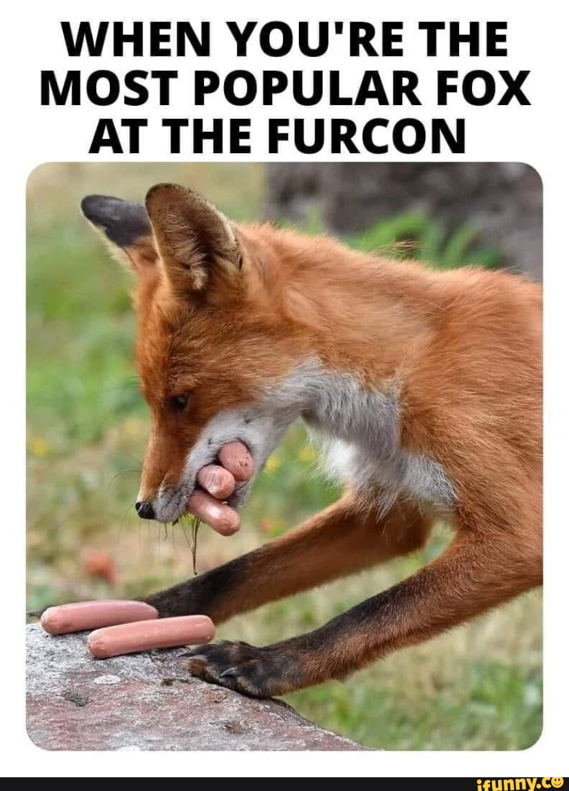 Furcon memes. Best Collection of funny Furcon pictures on iFunny