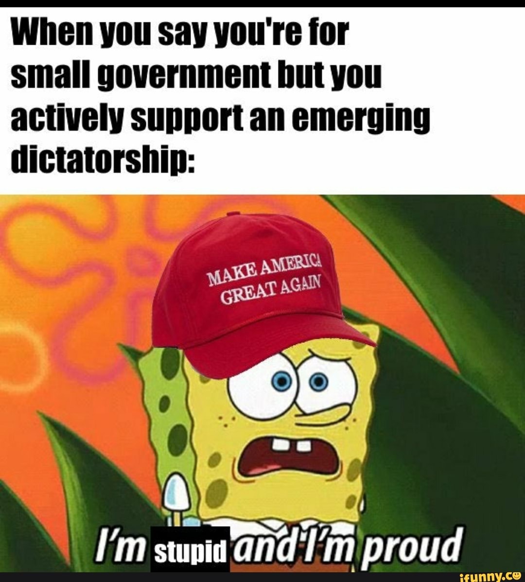 When you say you're for small government but you actively Support an ...
