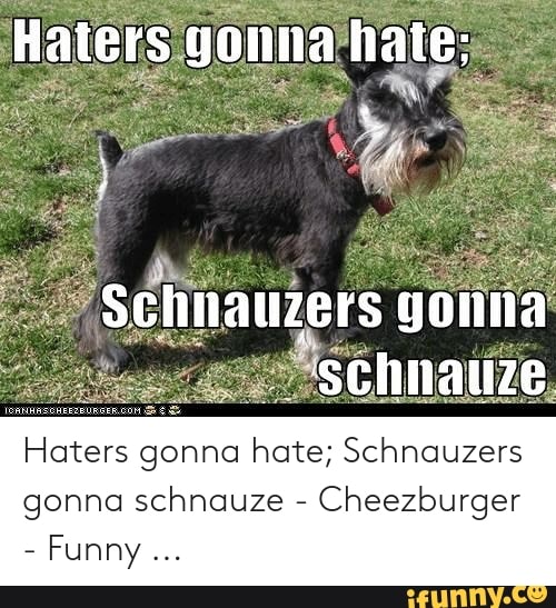 Schnauze memes. Best Collection of funny Schnauze pictures on iFunny