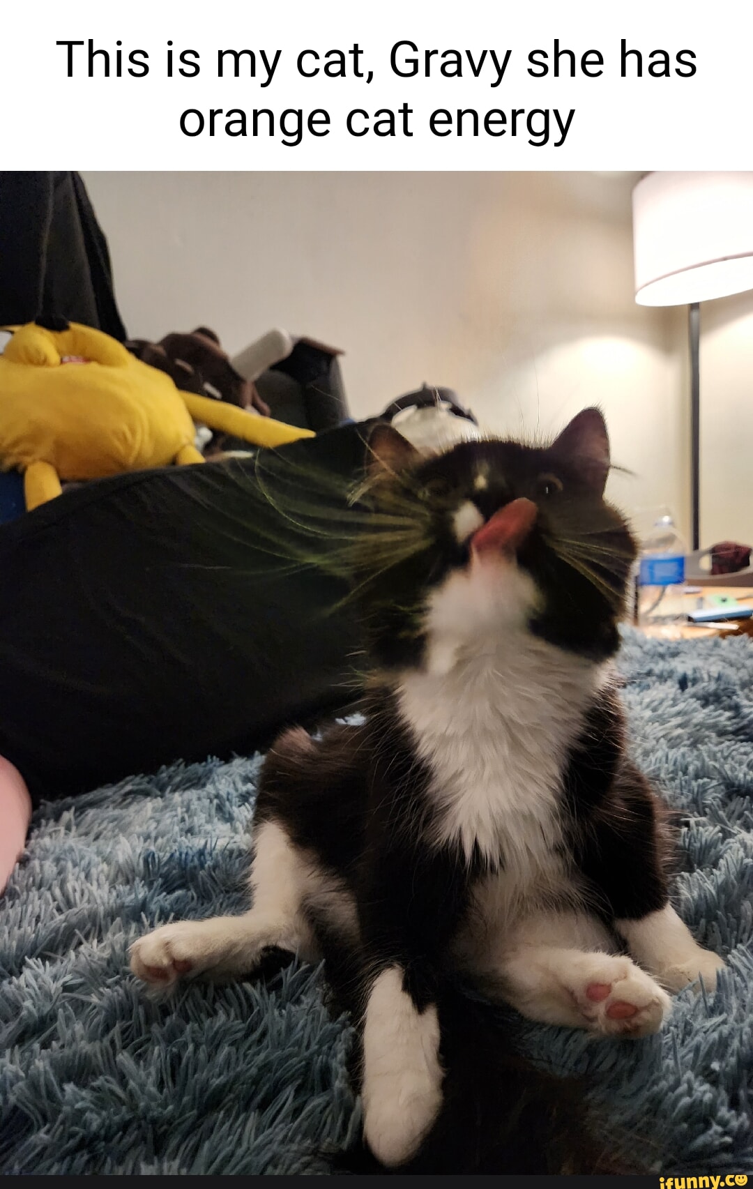 Picture memes nsW1qwn3A by wood: 24 comments - iFunny