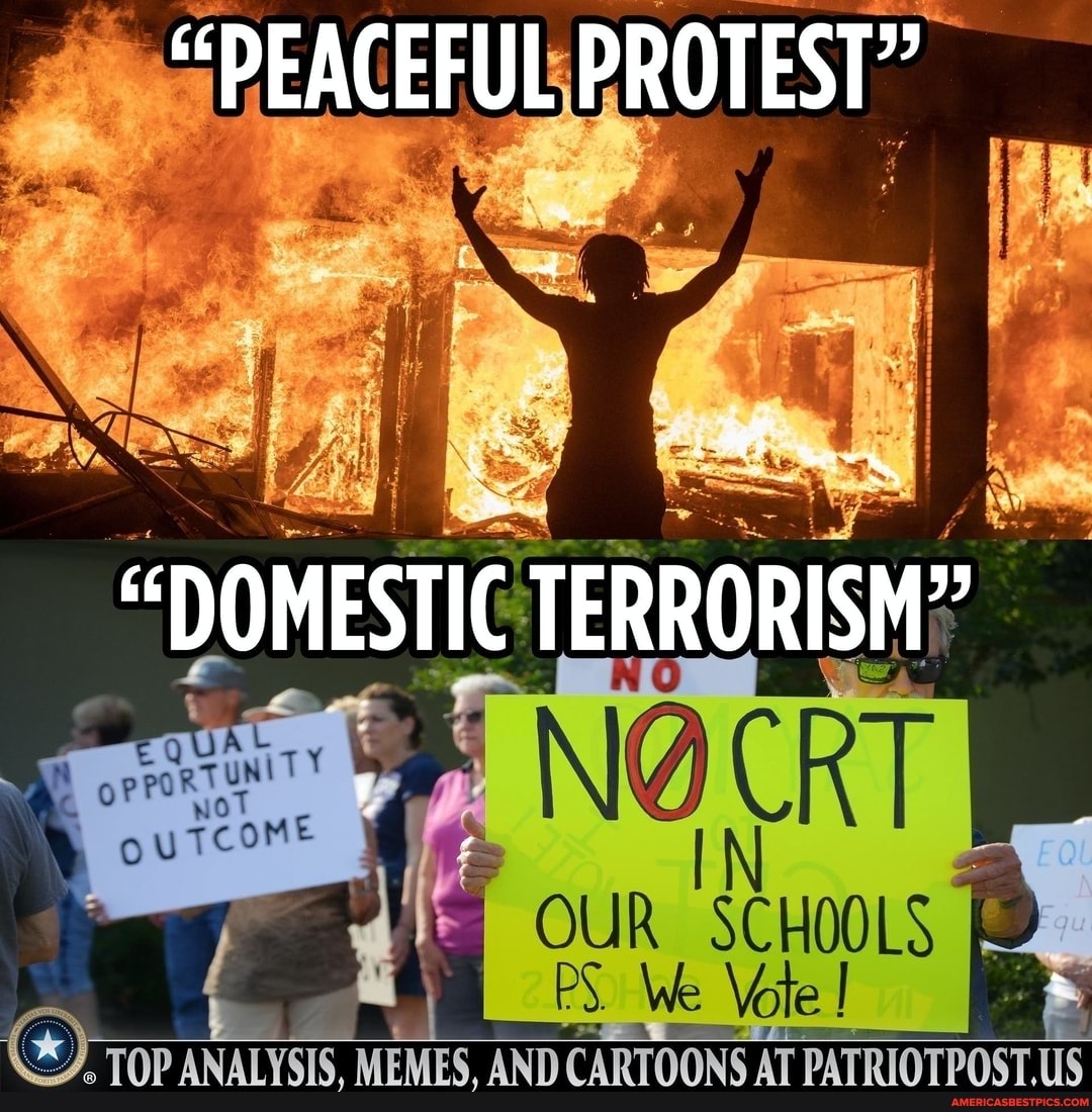 "PEACEFUL PROTEST" "DOMESTIC TERRORISM?" LS OUR TOP ANALYSIS, MEMES ...