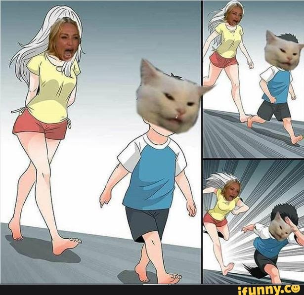 Meeeow memes. Best Collection of funny Meeeow pictures on iFunny