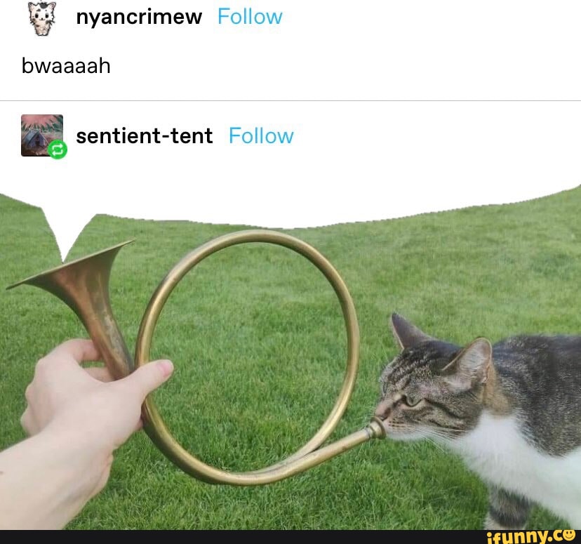 Bwaaaah memes. Best Collection of funny Bwaaaah pictures on iFunny