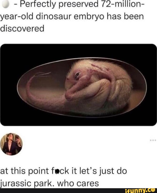 - Perfectly preserved 72-million- year-old dinosaur embryo has been ...