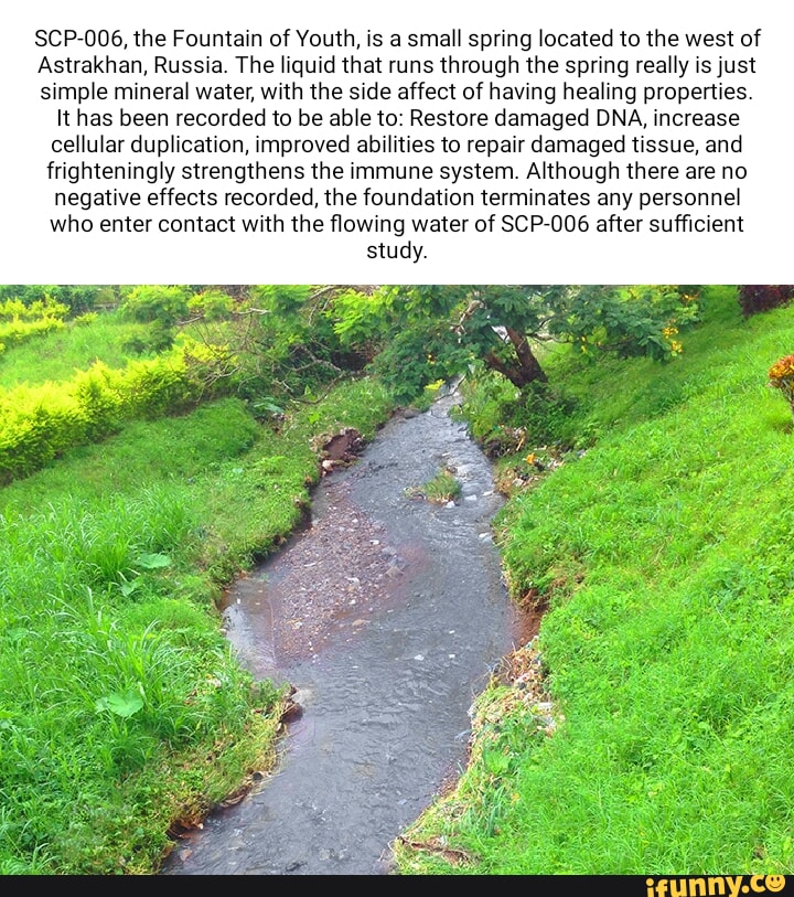 SCP-006, the Fountain of Youth, is a small spring located to the west ...