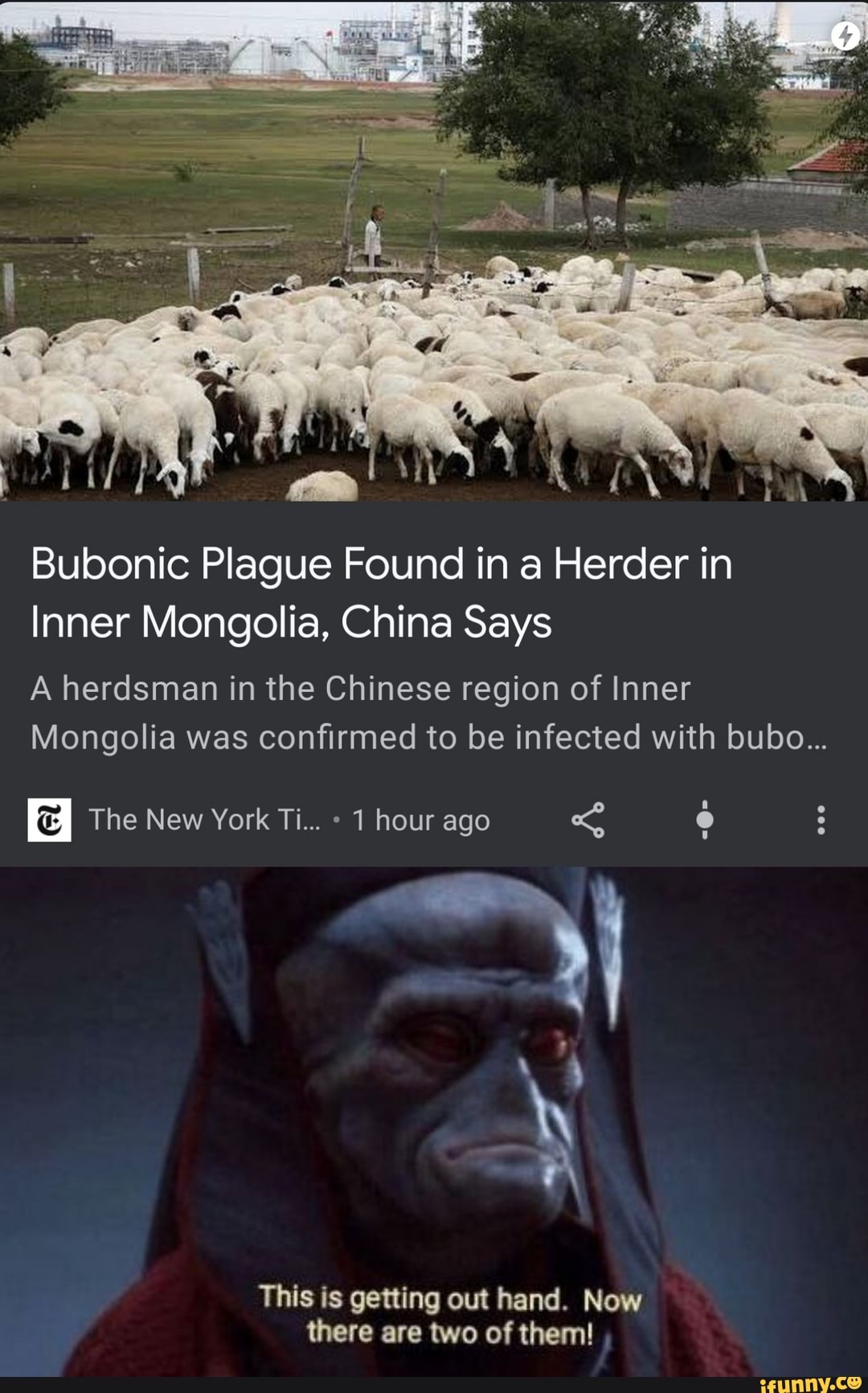 Bubonic Plague Found in a Herder in Inner Mongolia, China Says A ...