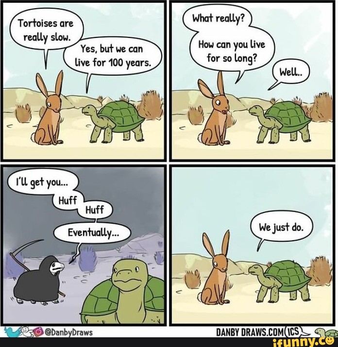 Tortoises are really? How can you live for so long? Yes, but we can ...