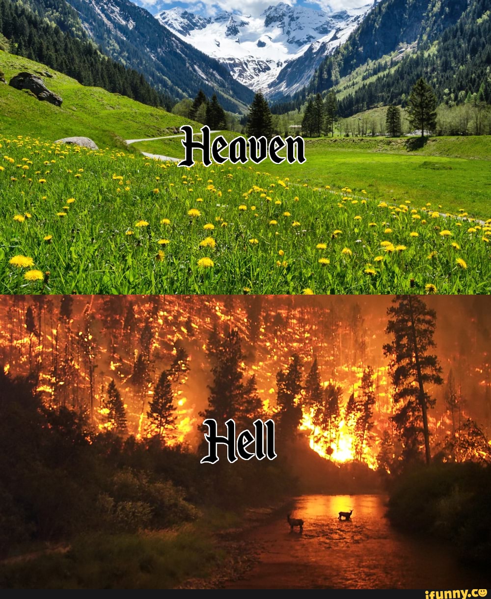 #heaven #hell #forest_fire #environment #protecttheplanet - iFunny