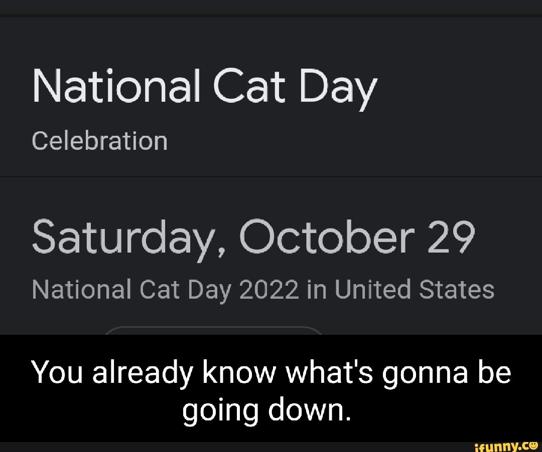 National Cat Day Celebration Saturday, October 29 National Cat Day 2022 ...